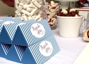 Red and Blue Nautical Party – Baby Shower Ideas 4U
