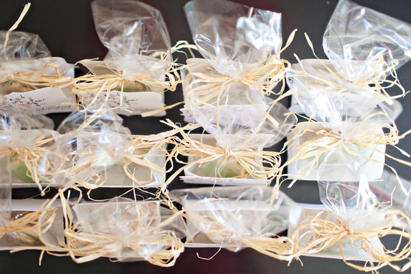 Apple of My Eye Baby Shower Theme – Baby Shower Ideas 4U