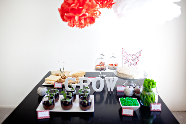 Apple of My Eye Baby Shower Theme – Baby Shower Ideas 4U