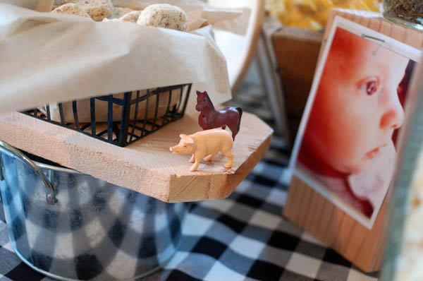 Stout Baby Farm Theme – Baby Shower Ideas 4U