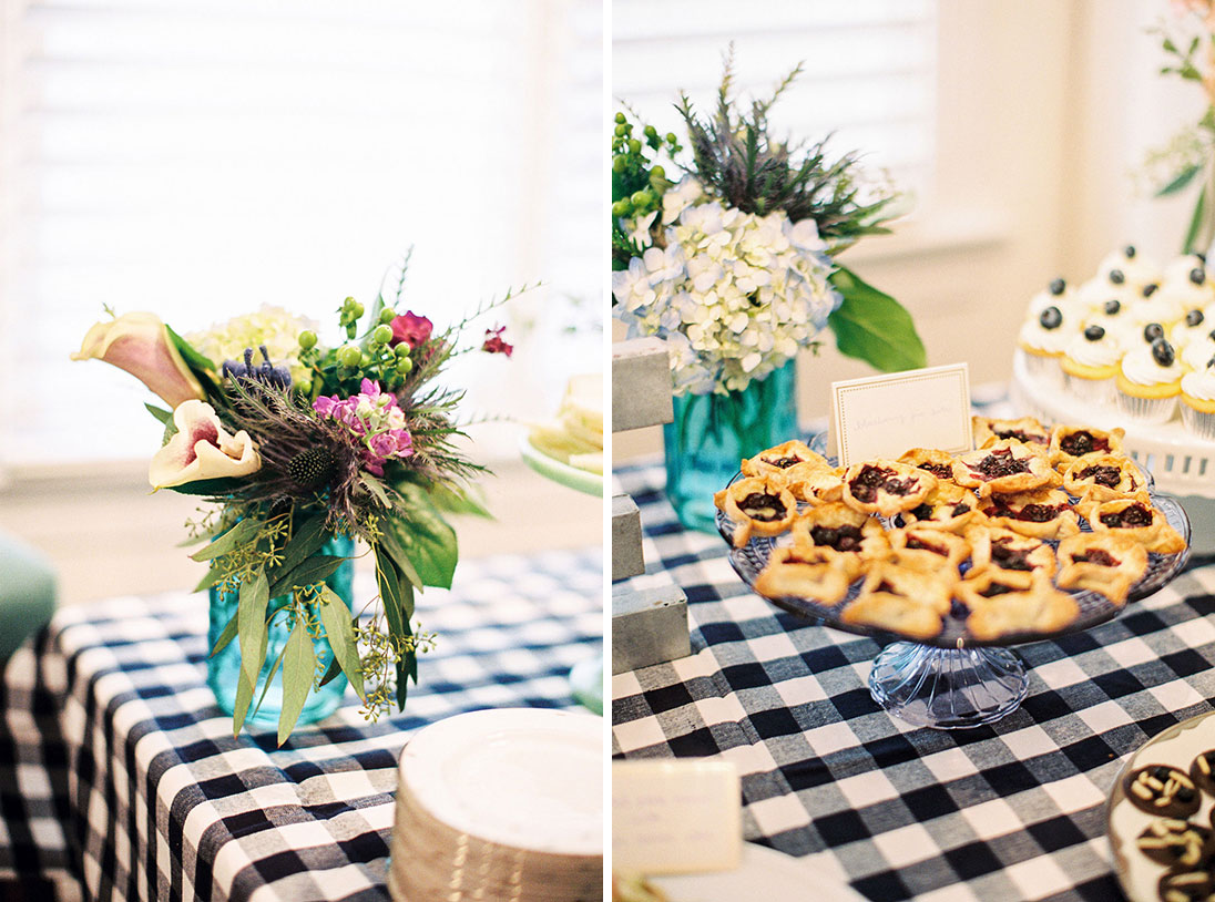 Blueberry Baby Shower – Baby Shower Ideas 4U