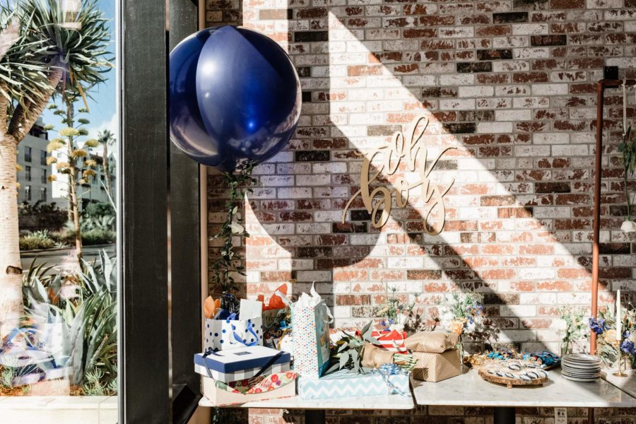 Blueberry Baby Shower – Baby Shower Ideas 4U