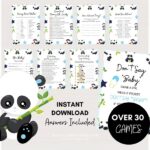 Panda Baby Shower Ideas – Baby Shower Ideas 4U