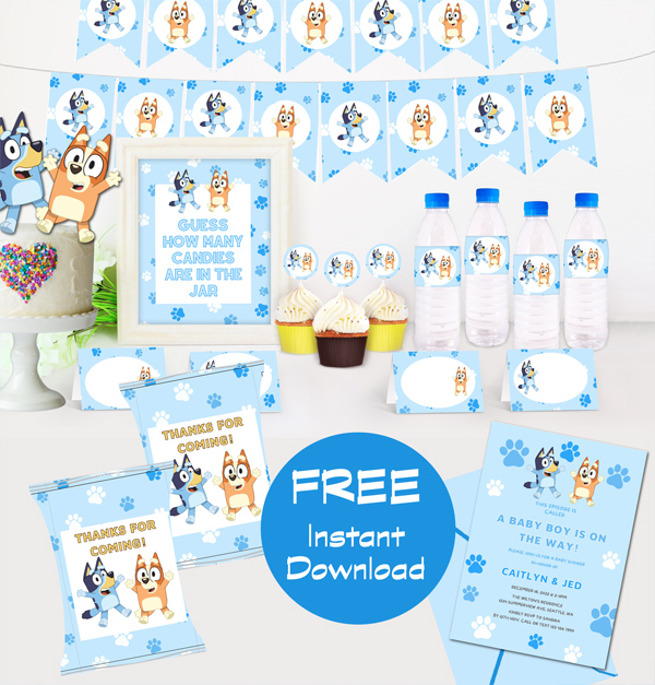 Playful Bluey Baby Shower Ideas – Baby Shower Ideas 4U