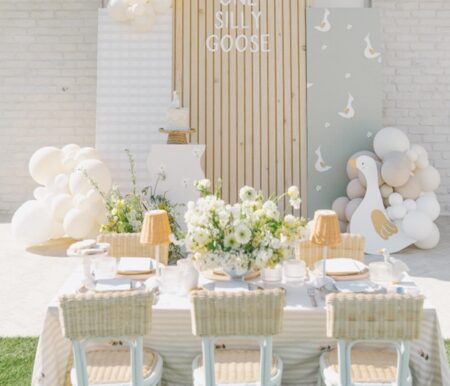 Silly Goose Baby Shower Ideas – Baby Shower Ideas 4U